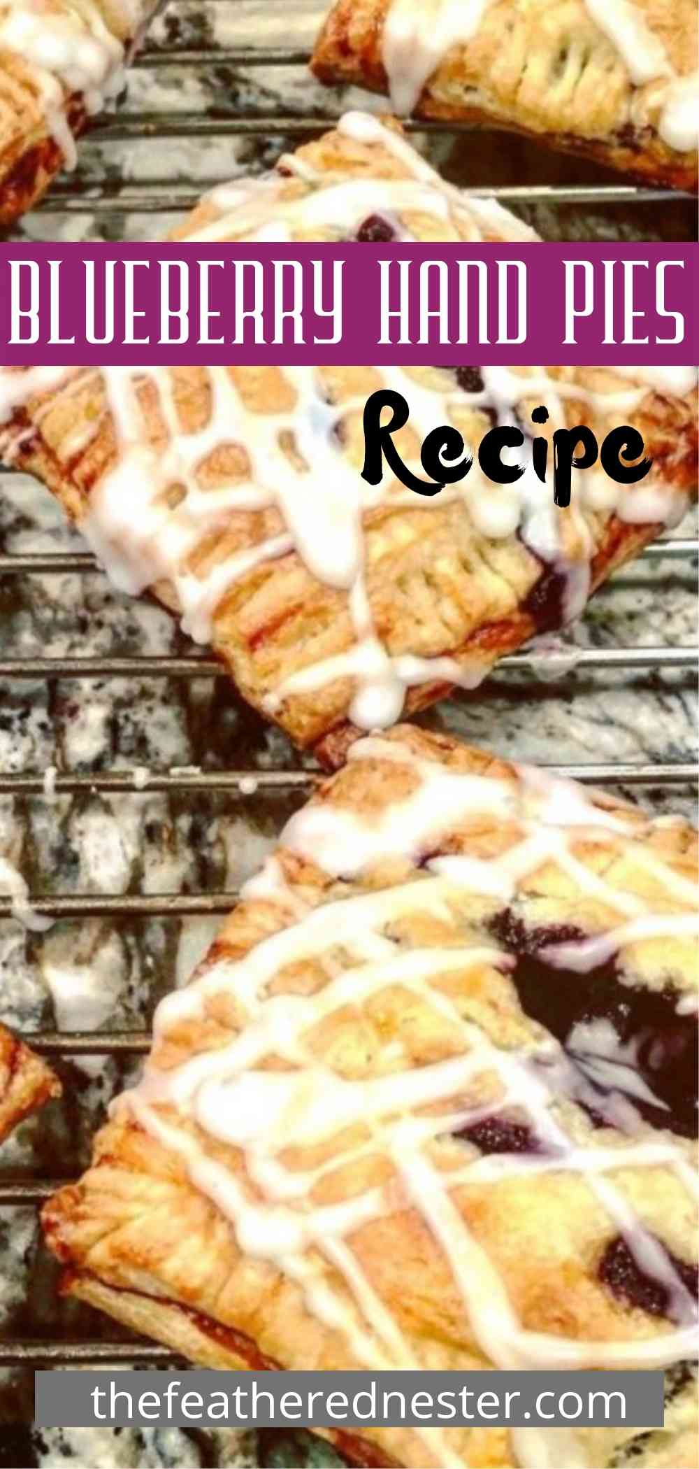 Blueberry Hand Pies Recipe {Air Fryer friendly} - The Feathered Nester