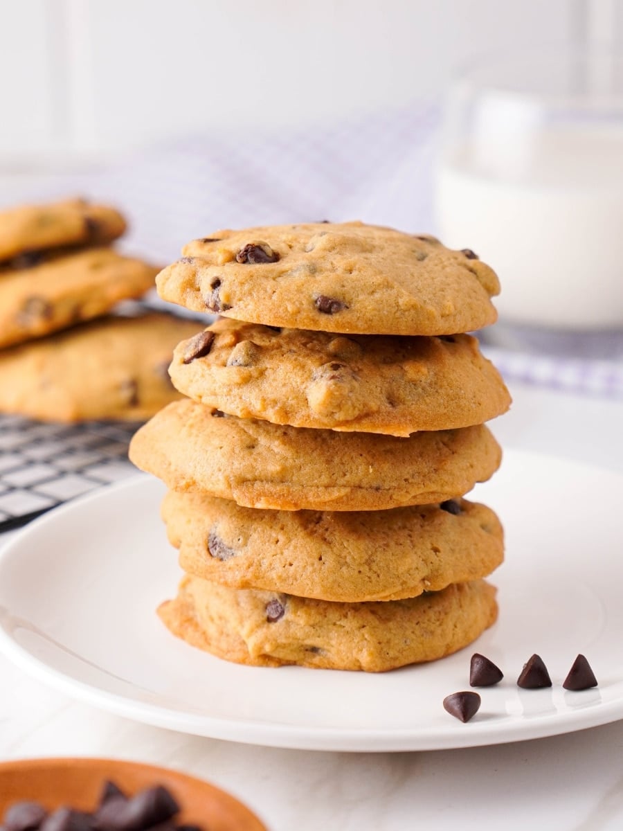 Better Than Costco Chocolate Chip Cookies -The Feathered Nester