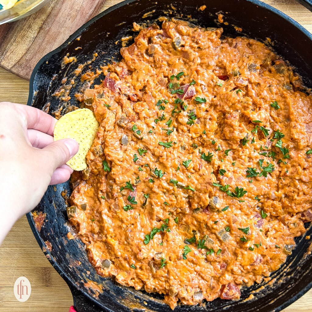 BBQ Dips and Appetizers - The Feathered Nester