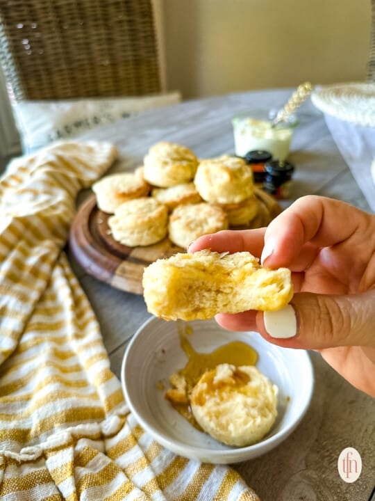 Easy Biscuit Recipes with Few Ingredients - The Feathered Nester