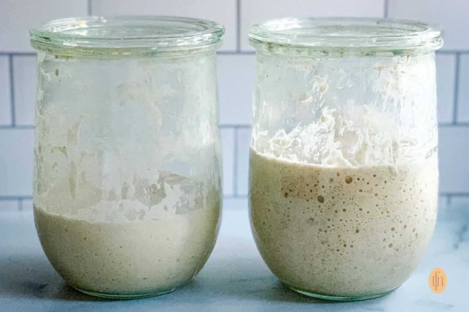 Troubleshooting Sourdough Starter - Why your starter is not rising