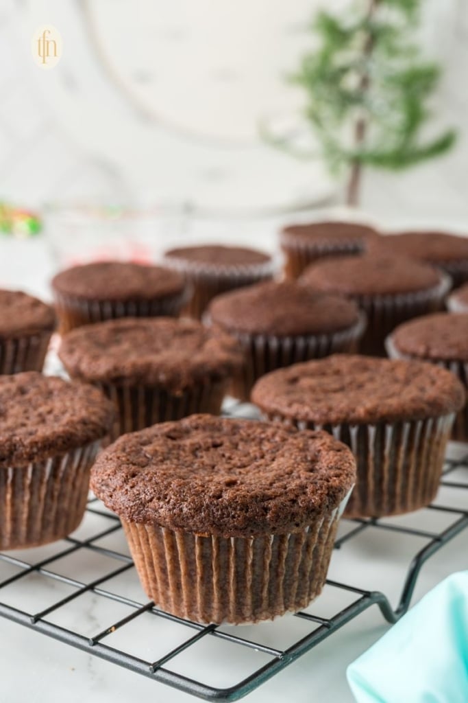 Chocolate Peppermint Cupcakes - The Feathered Nester