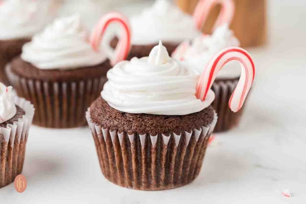 Chocolate Peppermint Cupcakes - The Feathered Nester