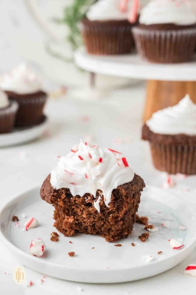 Chocolate Peppermint Cupcakes - The Feathered Nester