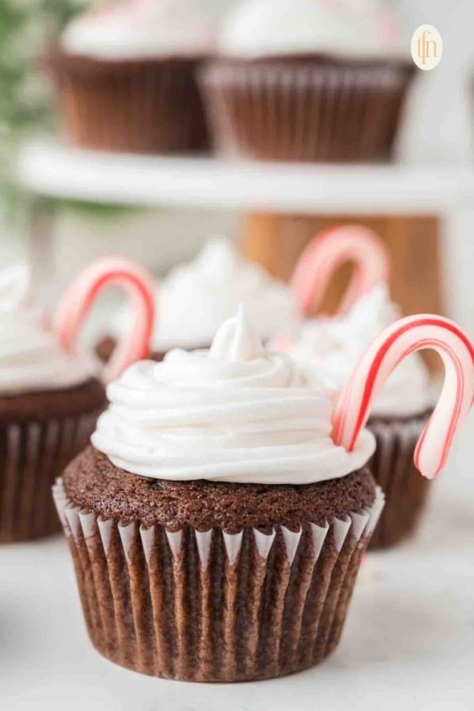Chocolate Peppermint Cupcakes - The Feathered Nester