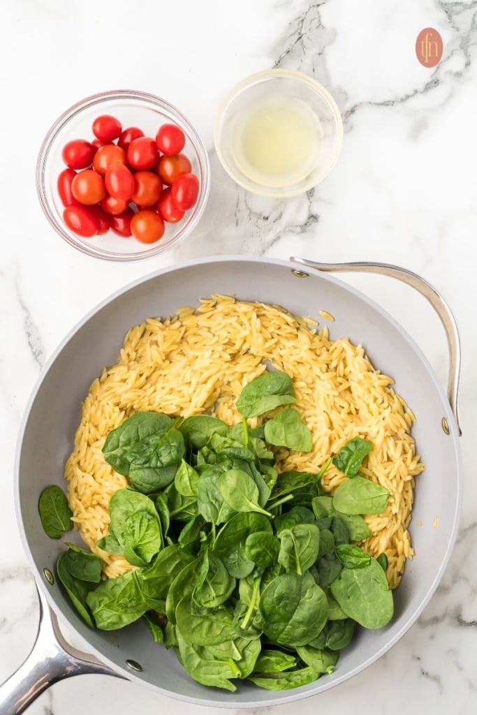Lemon Chicken Orzo Pasta - The Feathered Nester